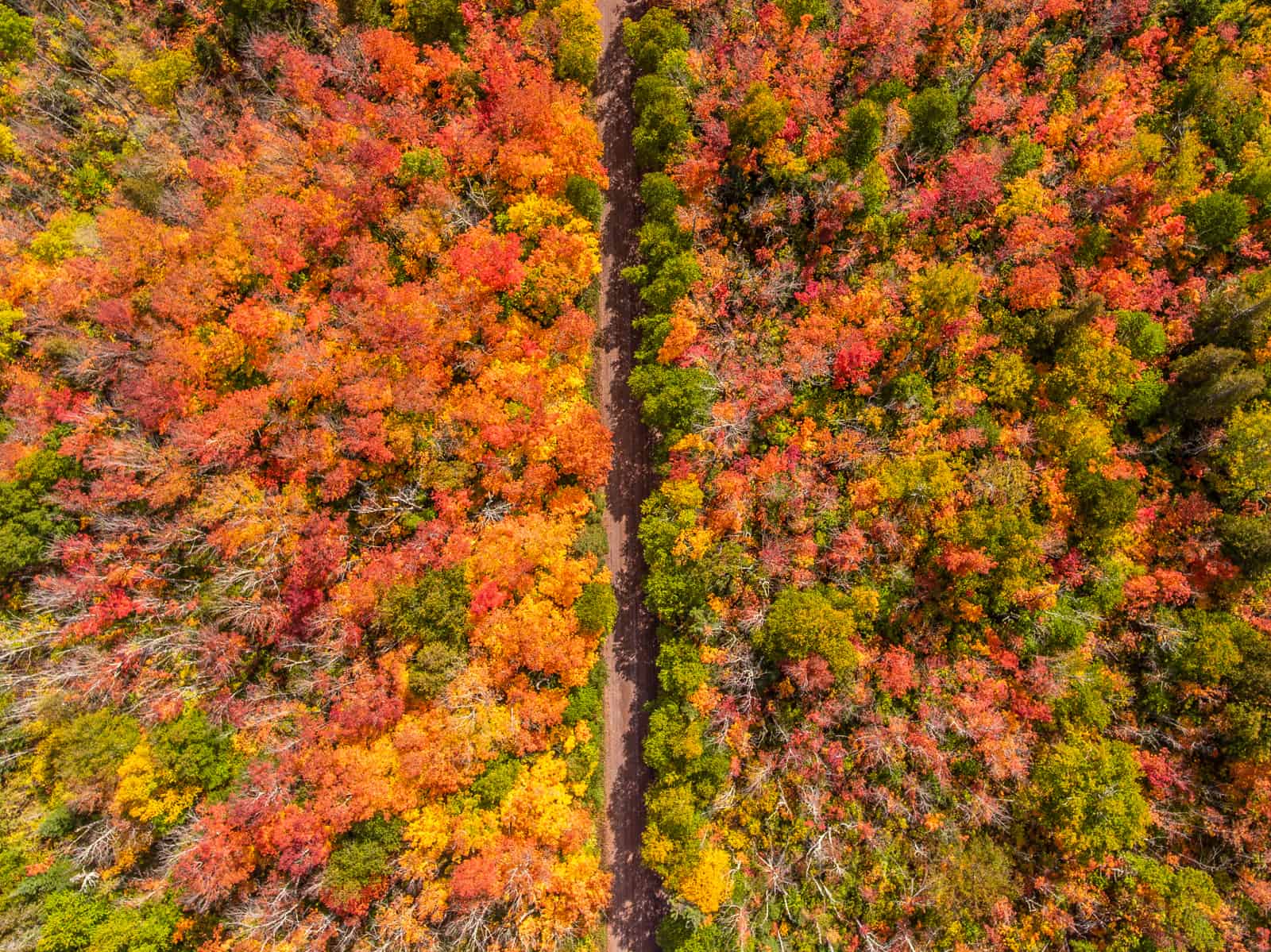 Fall Colors On The North Shore Cascade Vacation Rentals Fall Colors On The North Shore Cascade Vacation Rentals